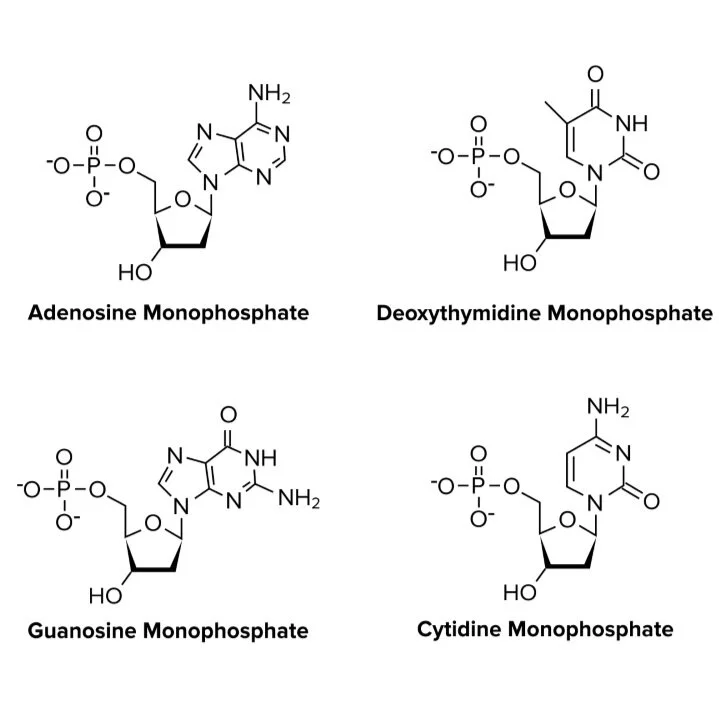 Important Functional Groups for the MCAT: Everything You Need to Know ...