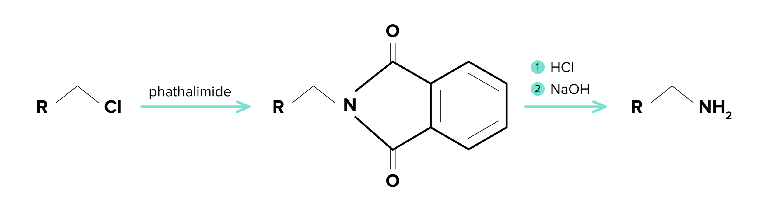 Reactions and Separations for the MCAT: Everything You Need to Know ...