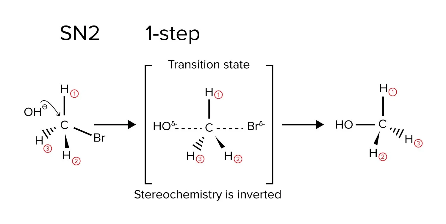 Substitution and Elimination Reactions for the DAT — Shemmassian Academic Consulting