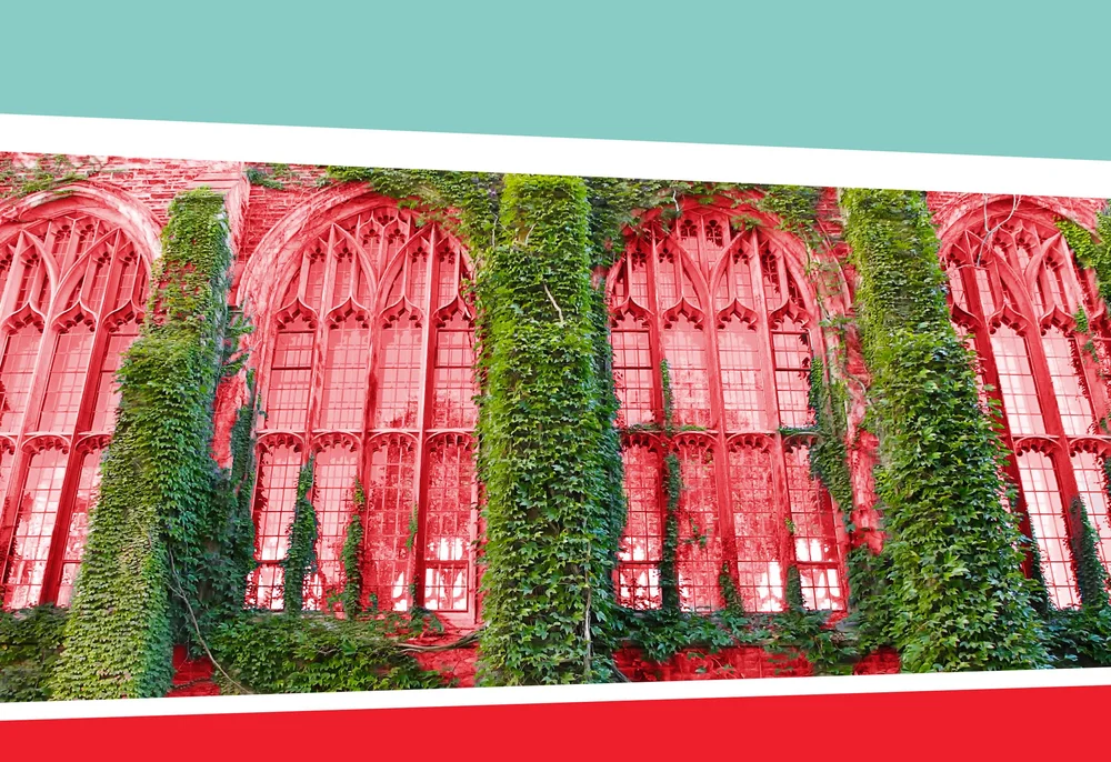 What is a Public Ivy? (2024) — Shemmassian Academic Consulting