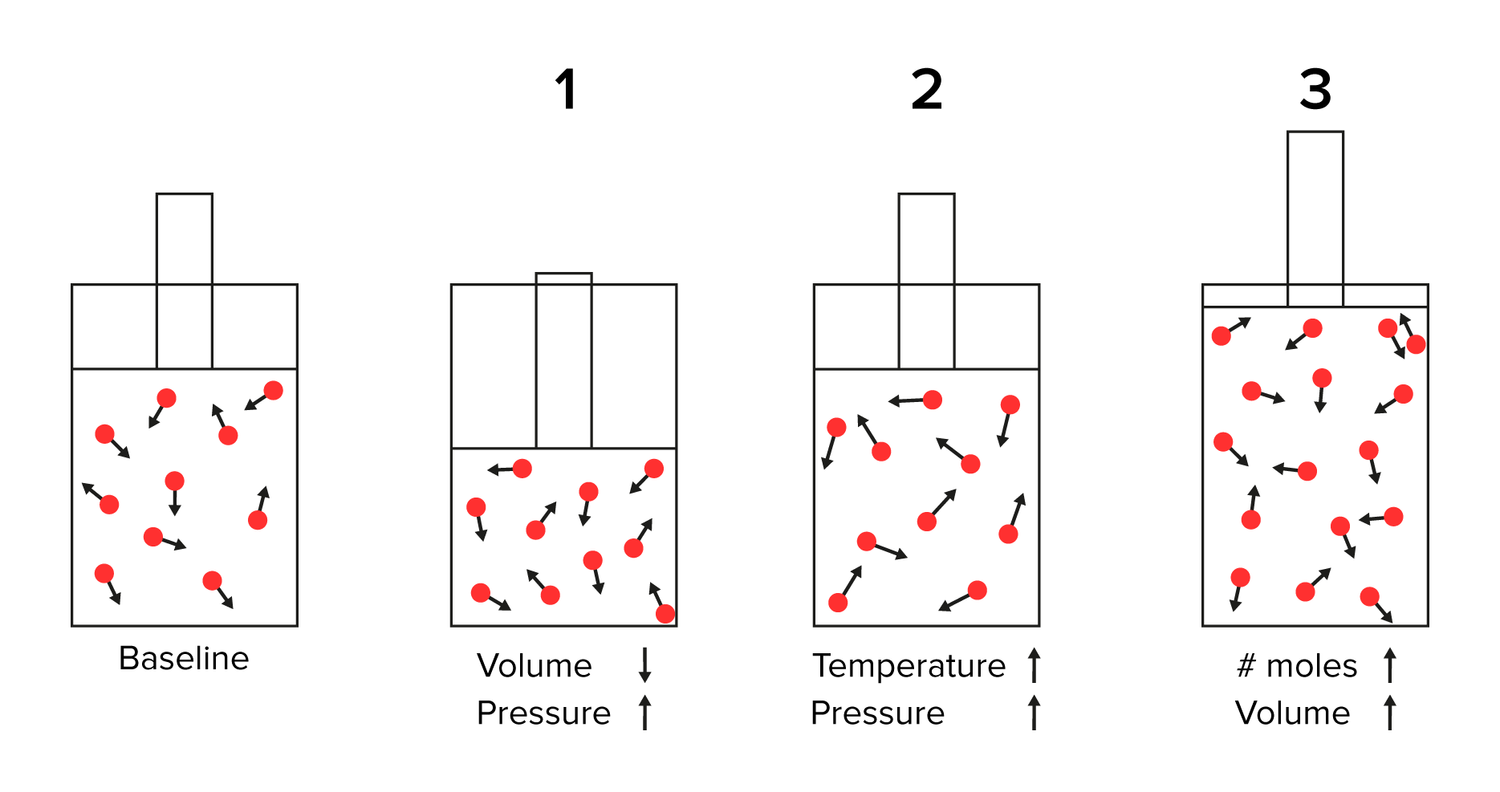 Gases for the DAT — Shemmassian Academic Consulting