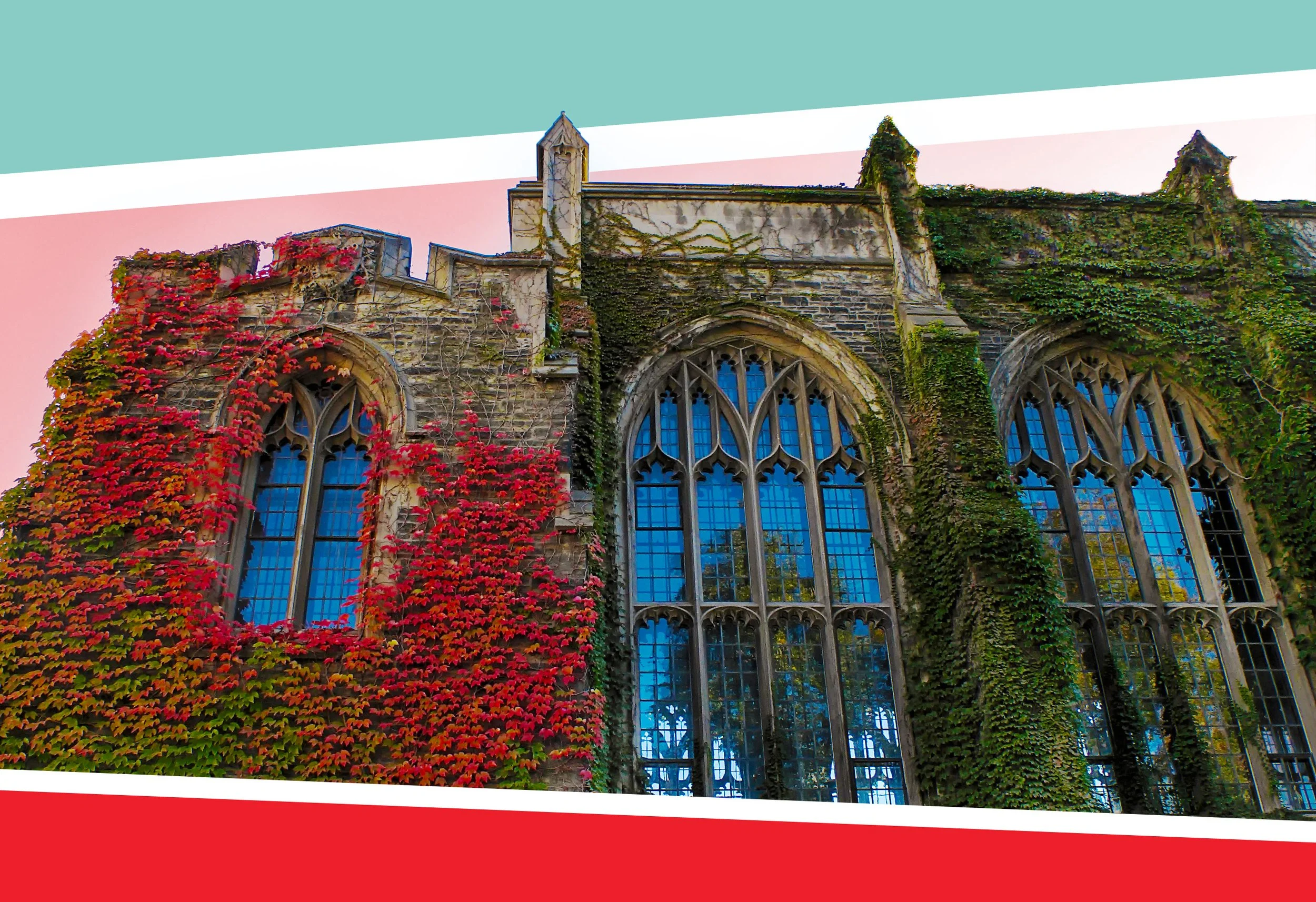 What is a Public Ivy? Complete 2026 Guide & School Rankings ...