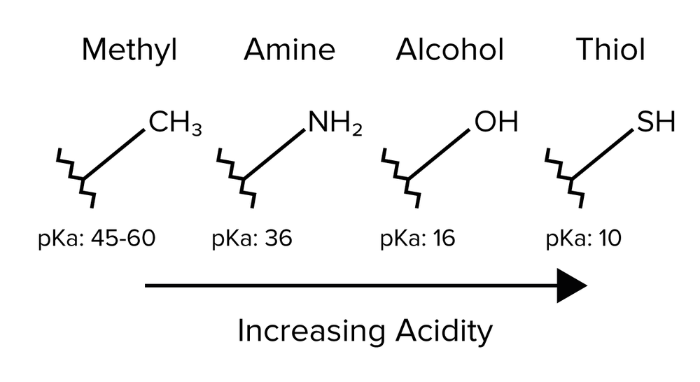 Acid-Base Organic Chemistry for the DAT — Shemmassian Academic Consulting