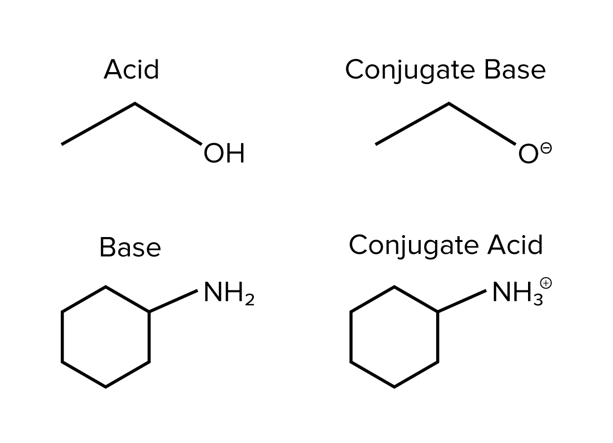 Acid-Base Organic Chemistry for the DAT — Shemmassian Academic Consulting
