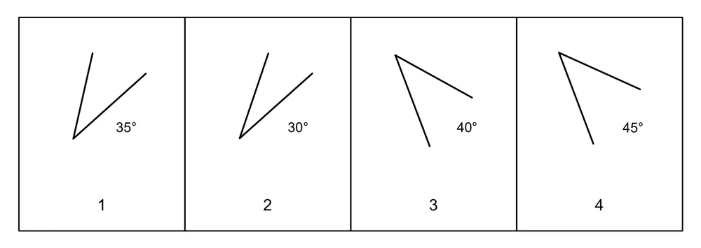 Angle Discrimination for the DAT — Shemmassian Academic Consulting