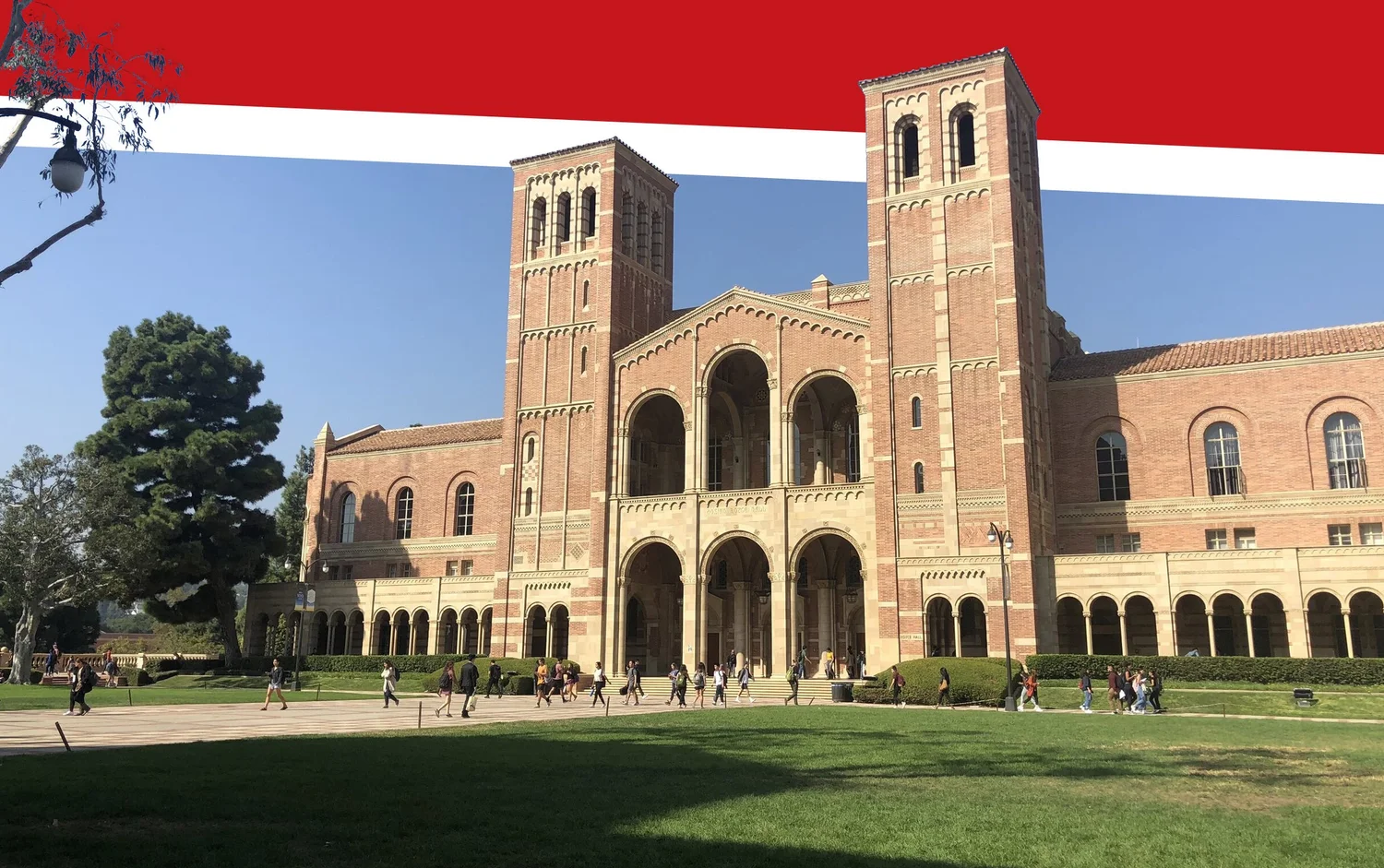 How to Get Into UCLA Undergrad: Requirements and Strategies ...