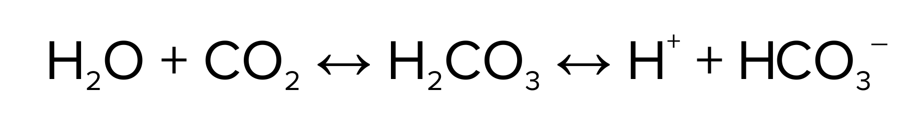 Digestive and Excretory Systems for the MCAT: Everything You Need to ...