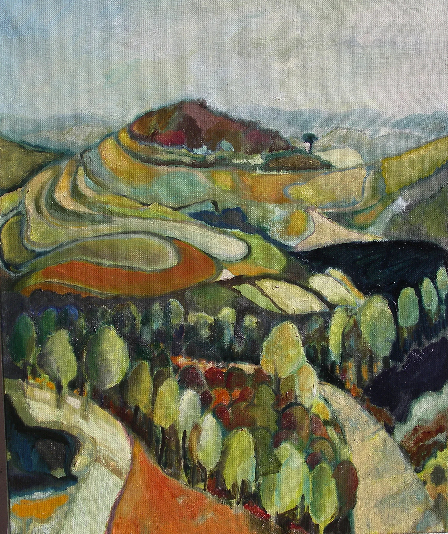 Transient Landscapes 2010-12 — Laura Hudson