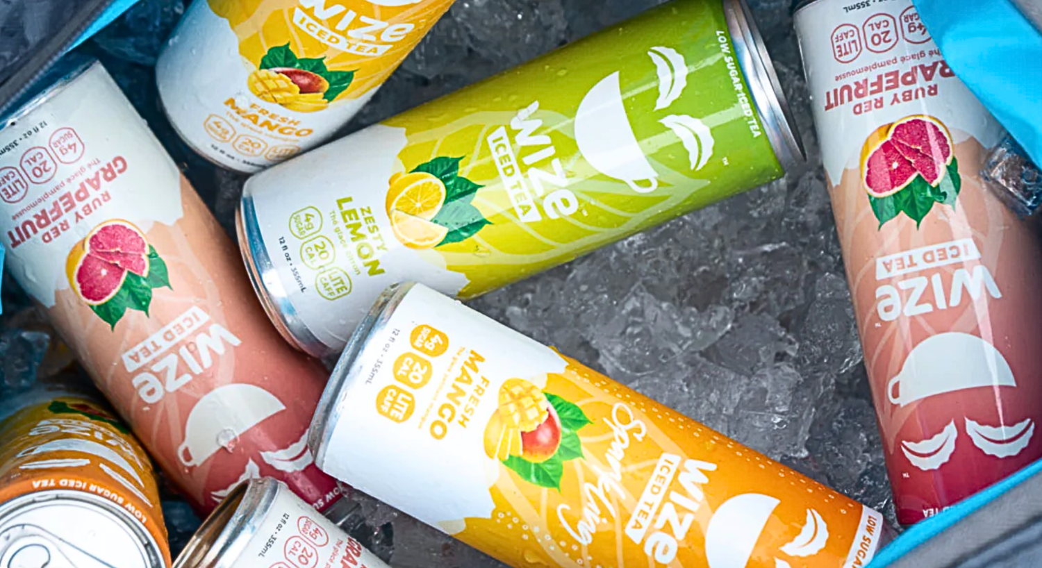 Meet the Makers Mini Interview: Wize Tea — Pomme Natural Market