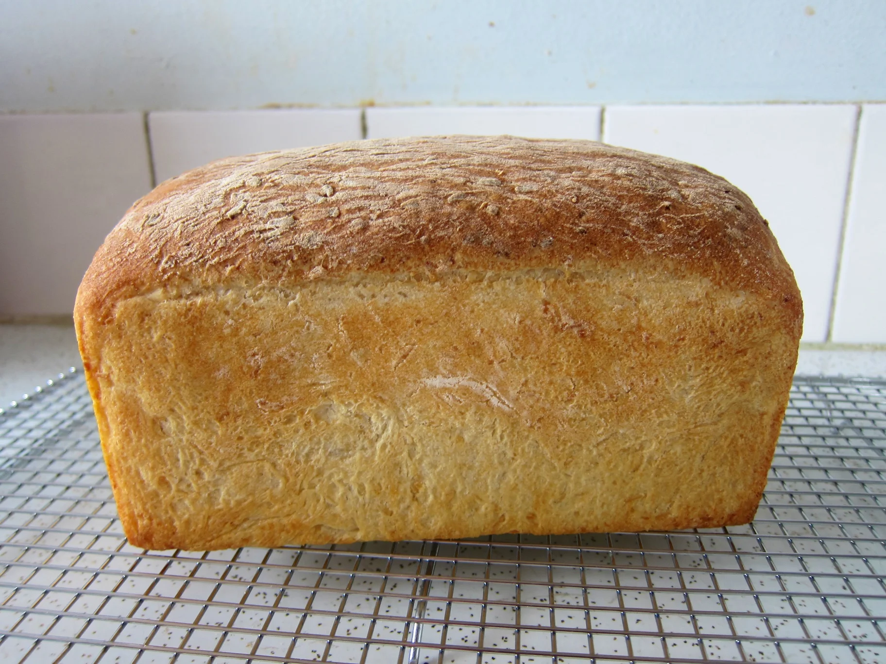 Book club: English Bread & Yeast Cookery — KEELER & SPON