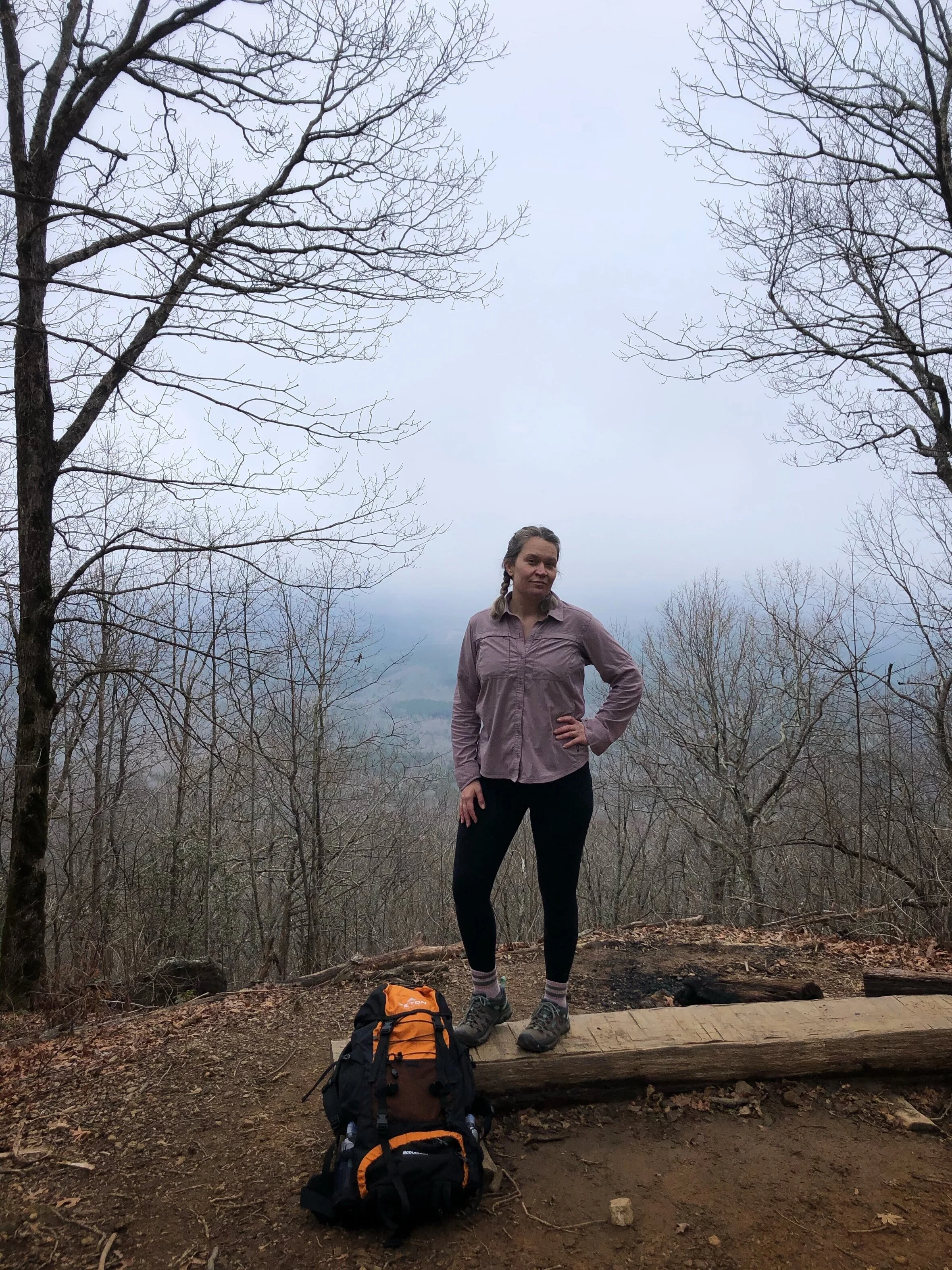 The Art of Jaime Barks