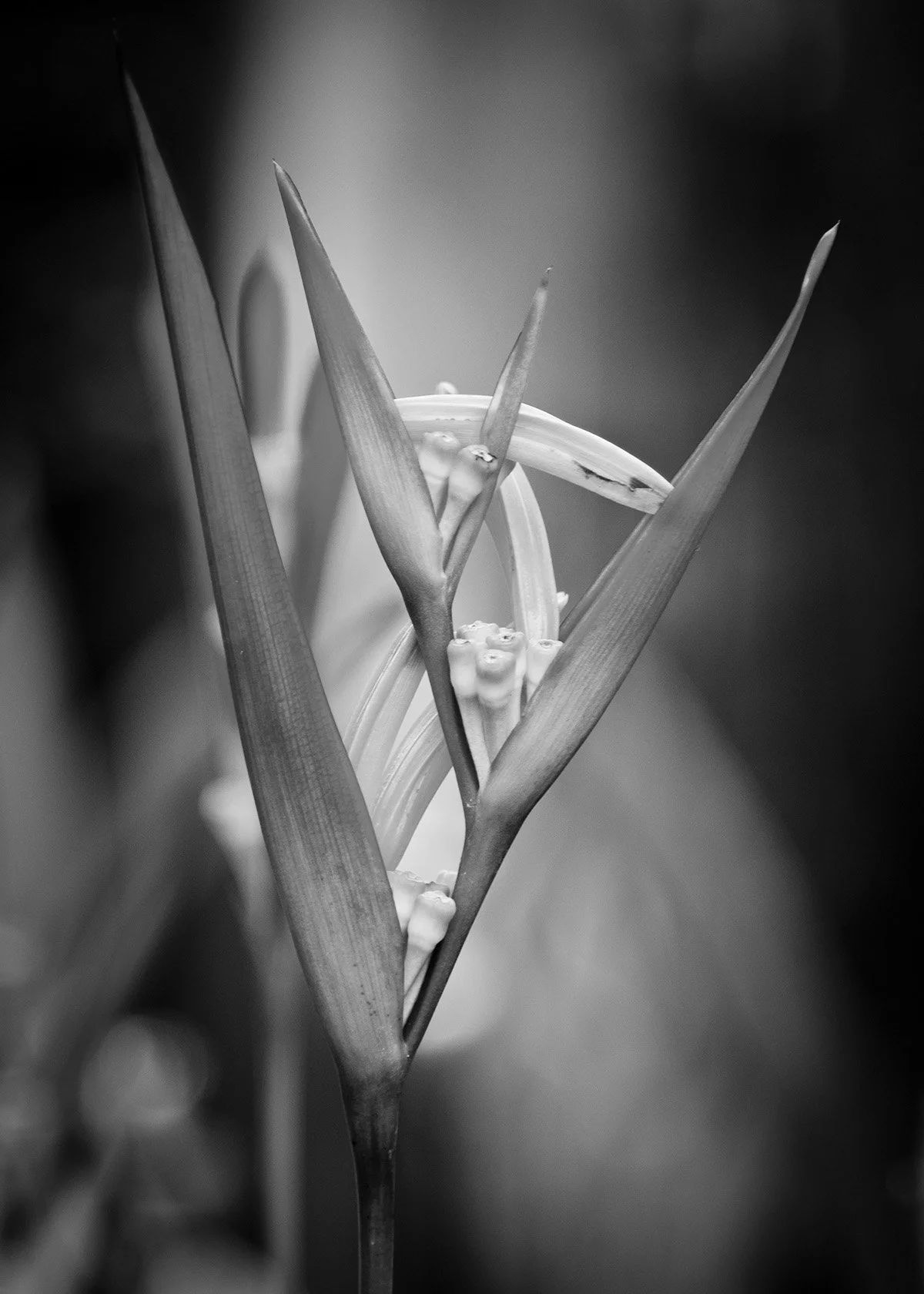Image Modes in Photoshop — Richard Harrington | Exploring the fusion of ...