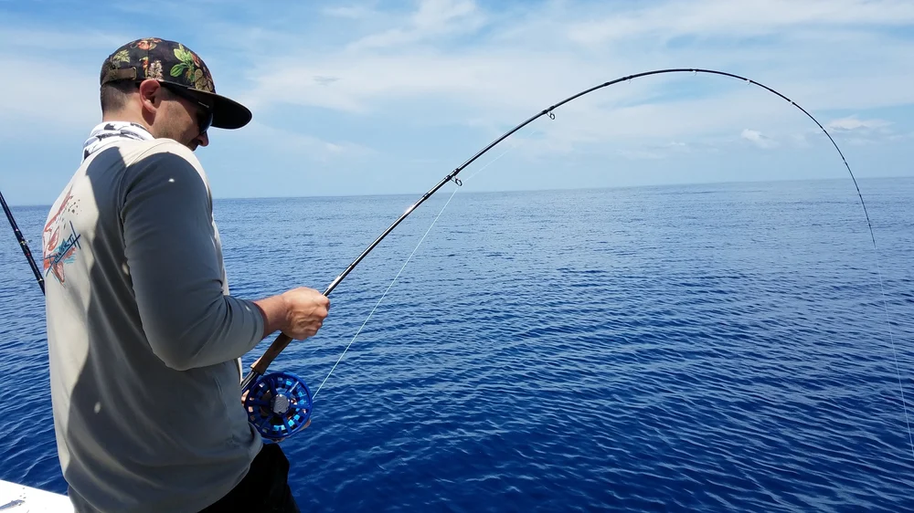 Blog — Taylor Fly Fishing