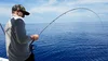 Blog — Taylor Fly Fishing