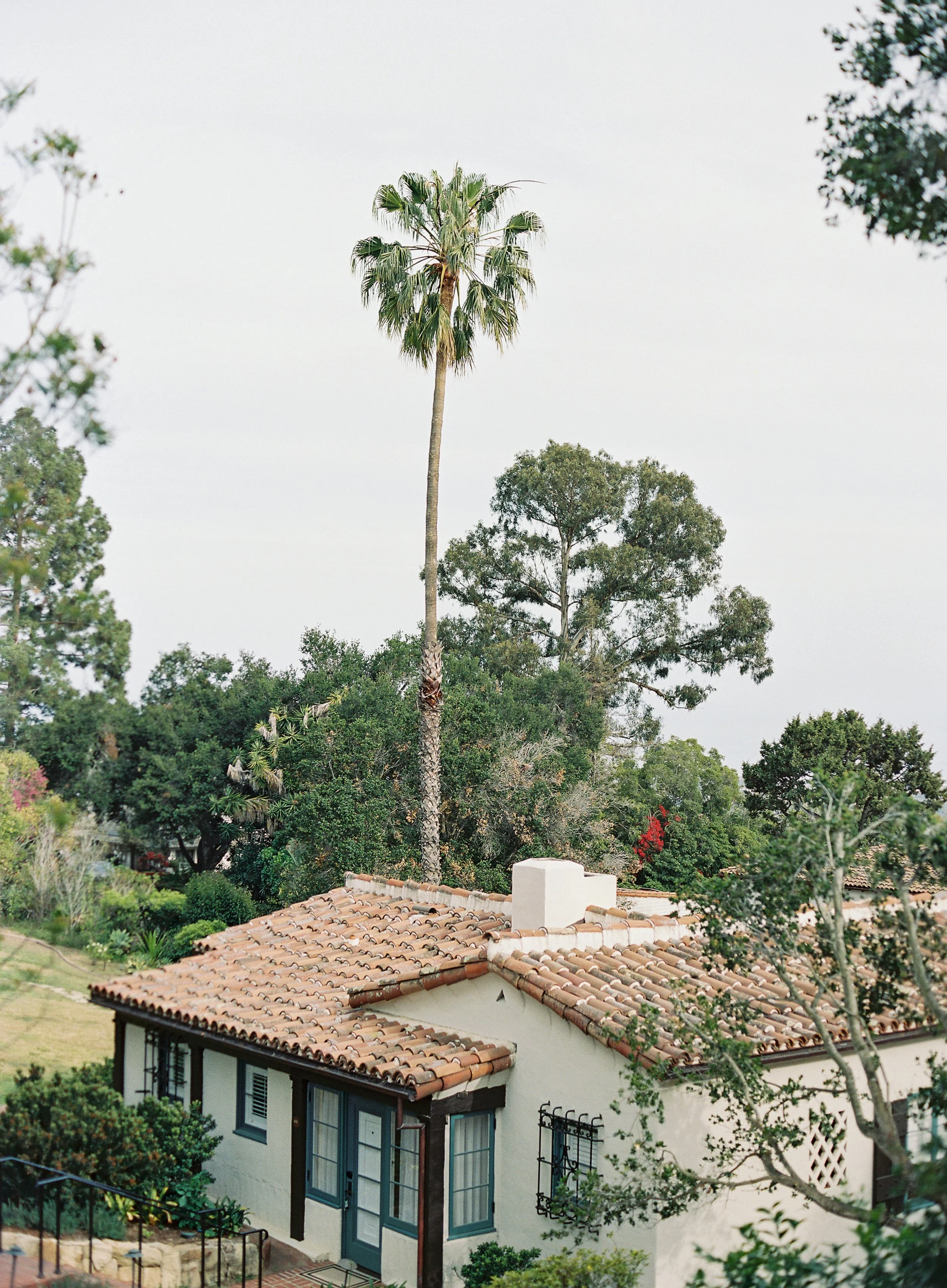 A SANTA BARBARA COURTHOUSE + BELMOND EL ENCANTO ELOPEMENT: DOMINIQUE ...