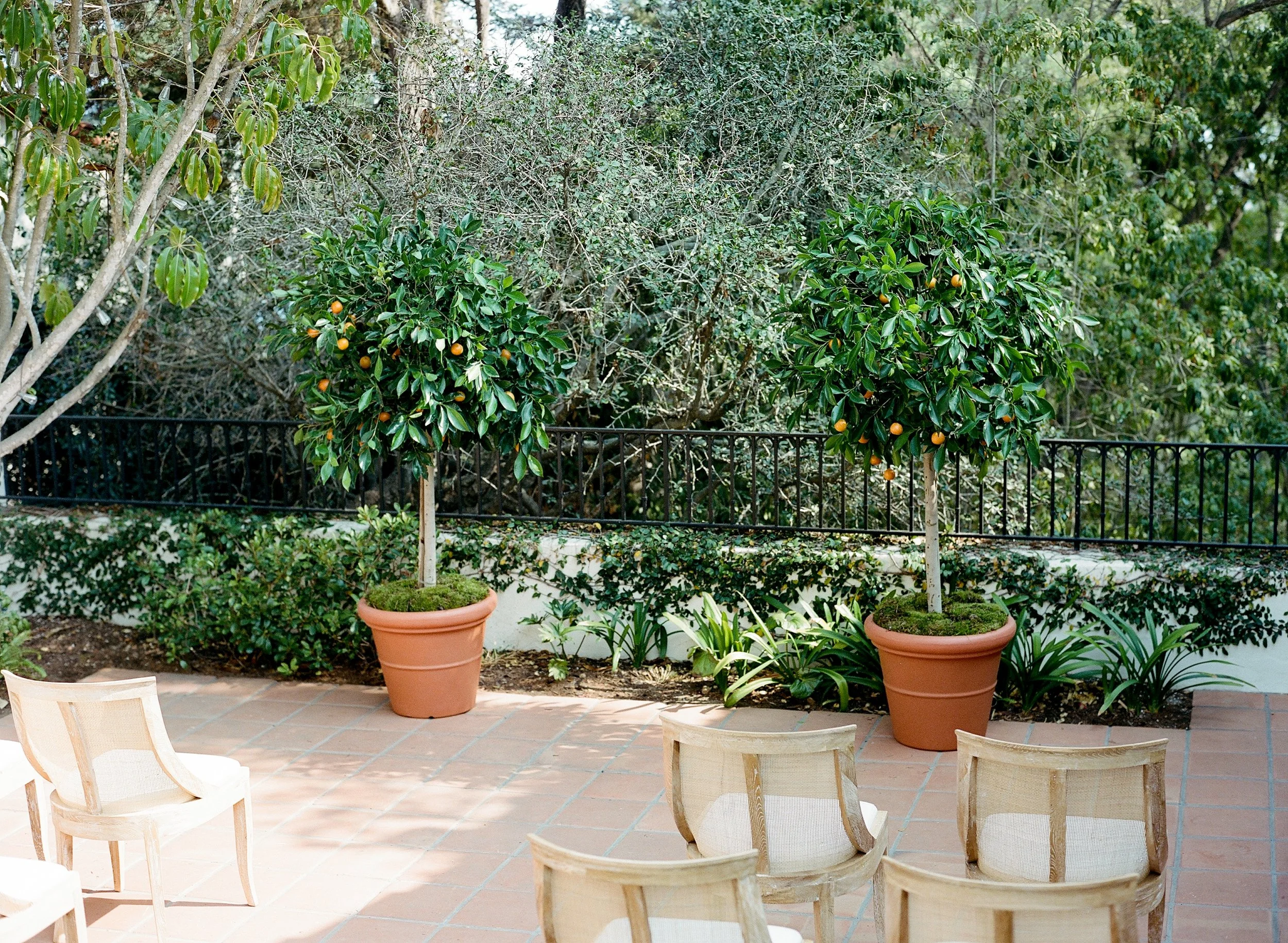 A BELMOND EL ENCANTO ELOPEMENT: DANA + NATE — Santa Barbara Elopement ...