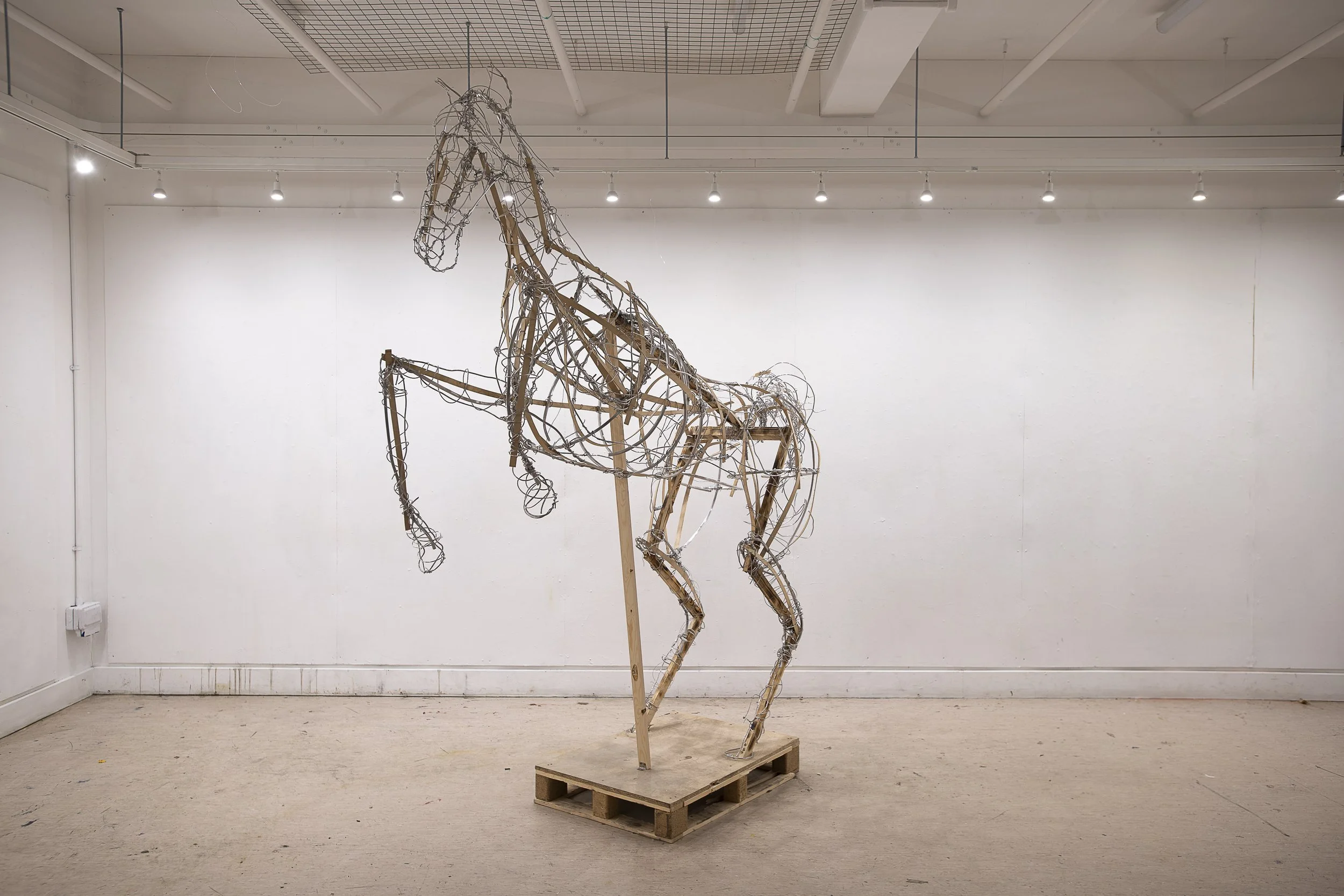 Hugo Lester — Visual Arts at Sevenoaks School