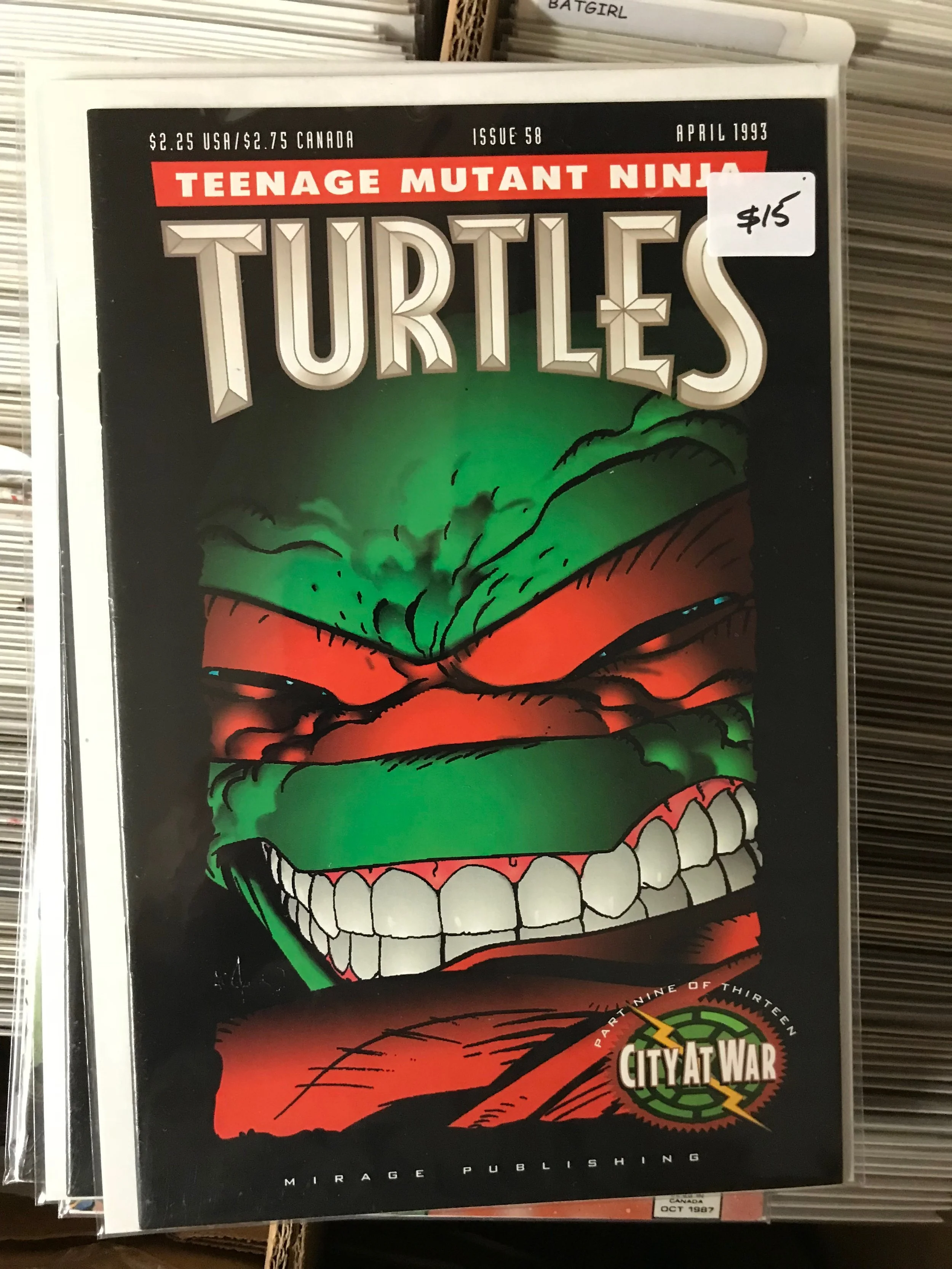 TMNT- Mirage Comics — The Canadian Comic Bin
