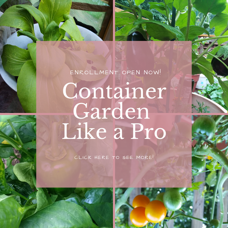 Spring into Gardening: Tips for Preparing Your Garden for the Season