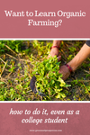 How to Learn Organic Farming as a College Student