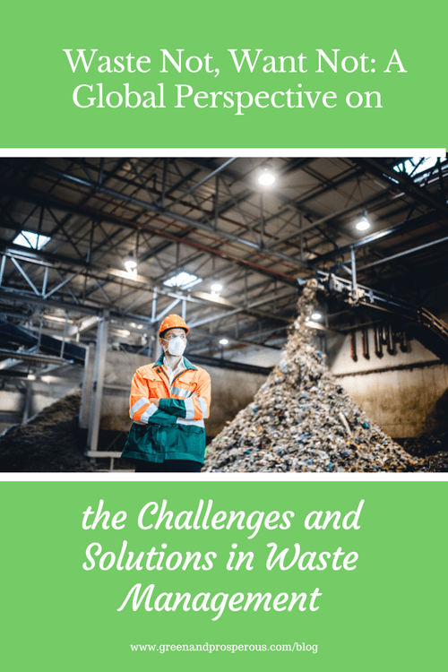 Waste Not, Want Not: A Global Perspective on the Challenges and ...
