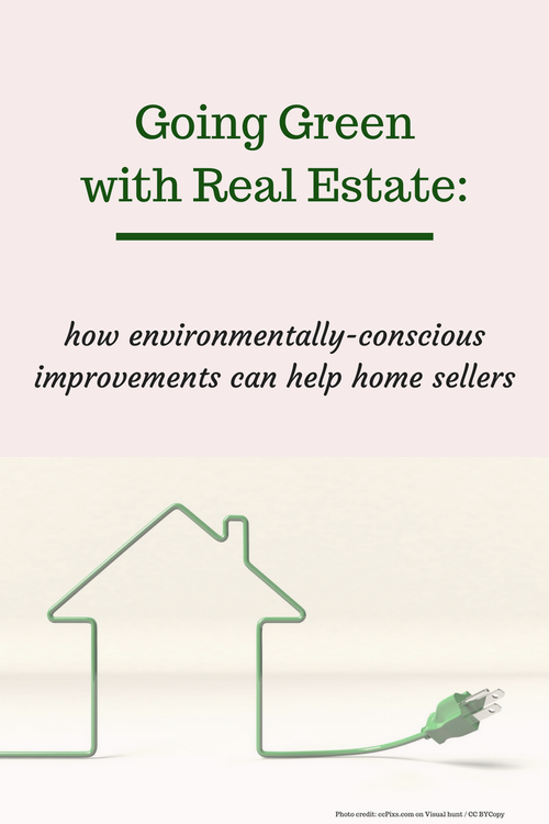 Going Green with Real Estate: How Environmentally-Conscious ...