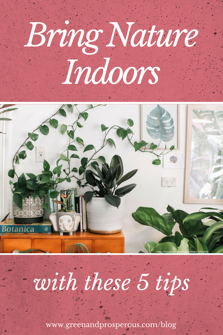 5 Tips to Bring Nature Indoors