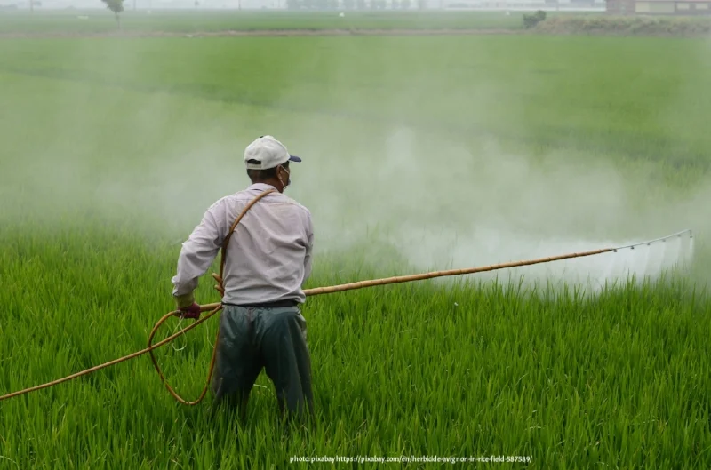 Effective pest control without the harmful chemicals