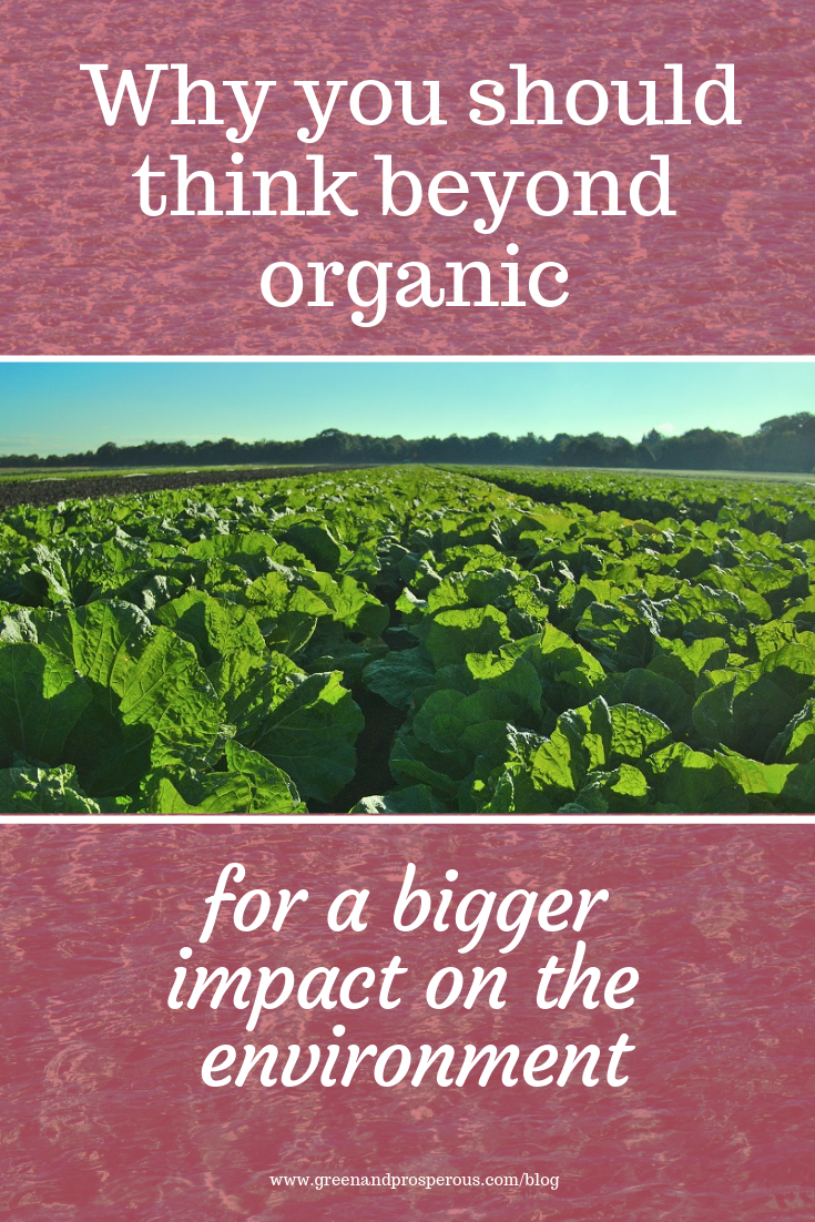 Why you should think beyond organic for a bigger impact on the environment
