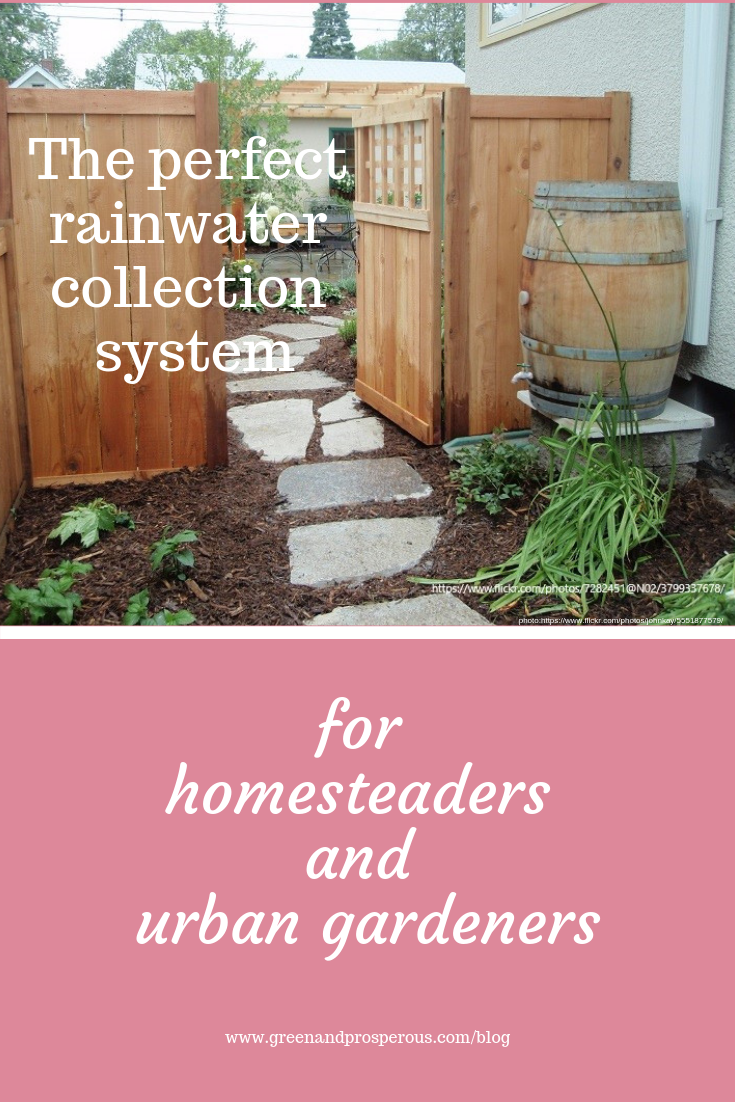 The Perfect Rainwater Collection System for Homesteaders and Urban ...