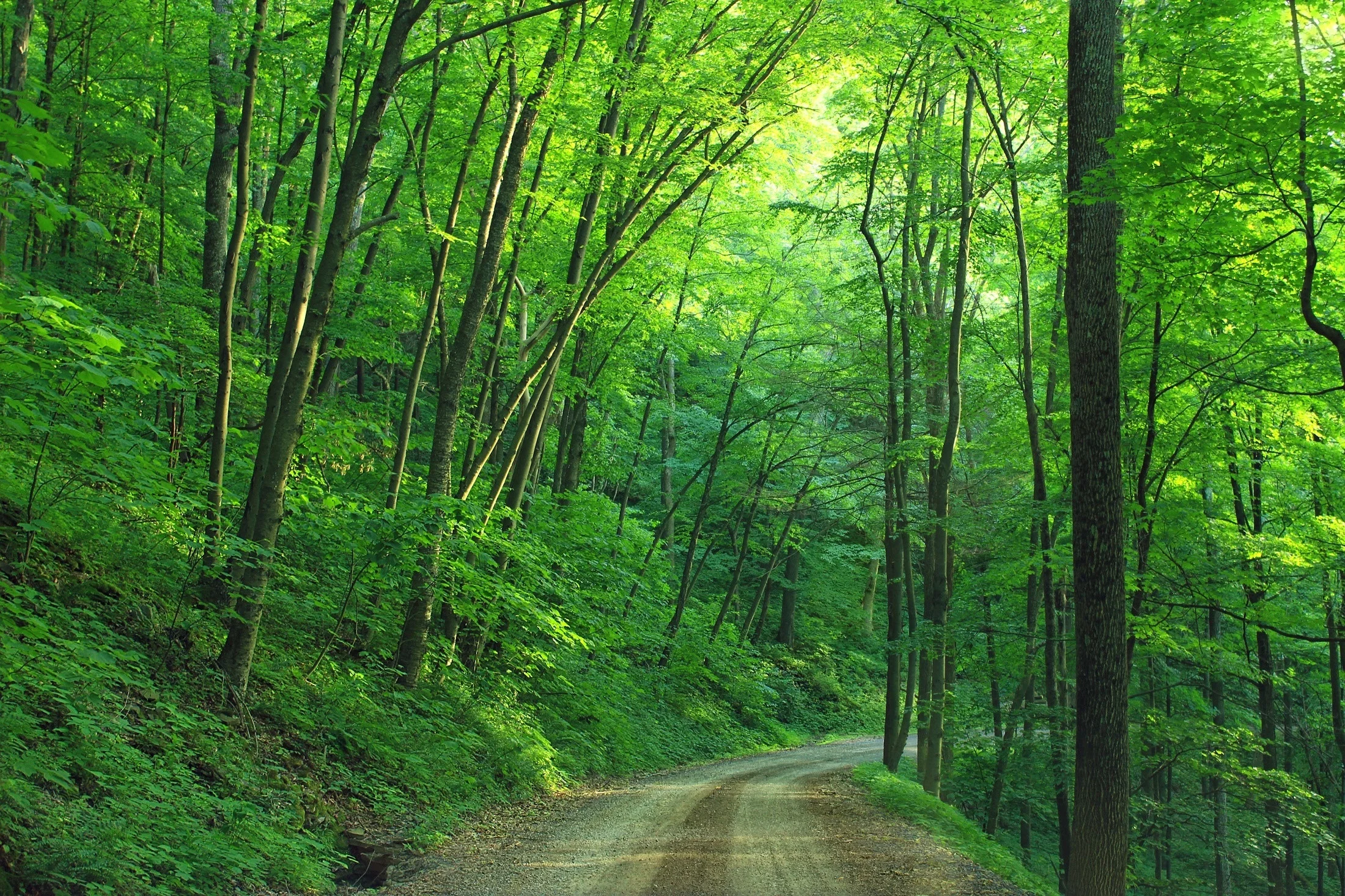 Green and Prosperous