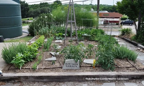 How to Plan a Kitchen Garden: Top Tips and Ideas for 2021