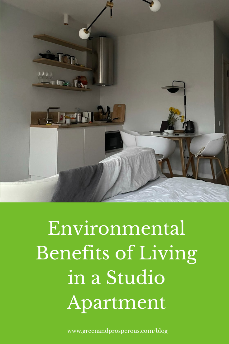 Environmental Benefits of Living in a Studio Apartment