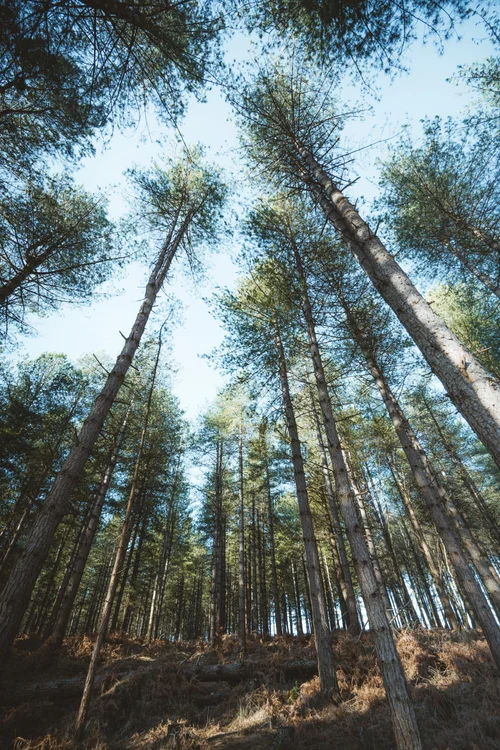 27 Ways to Be More Environmentally Friendly