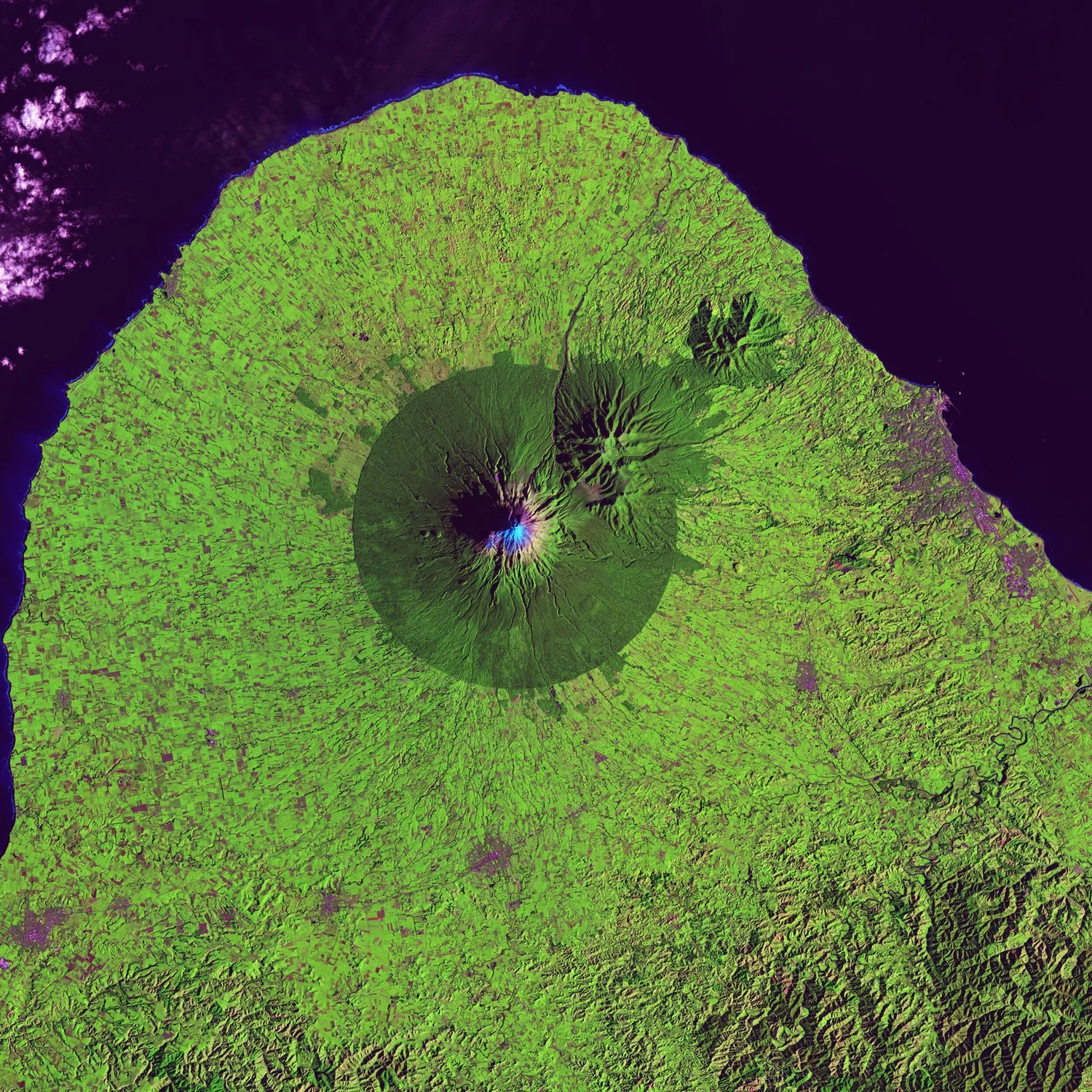 Implementing Effective Forest Management Plans: Strategies for ...