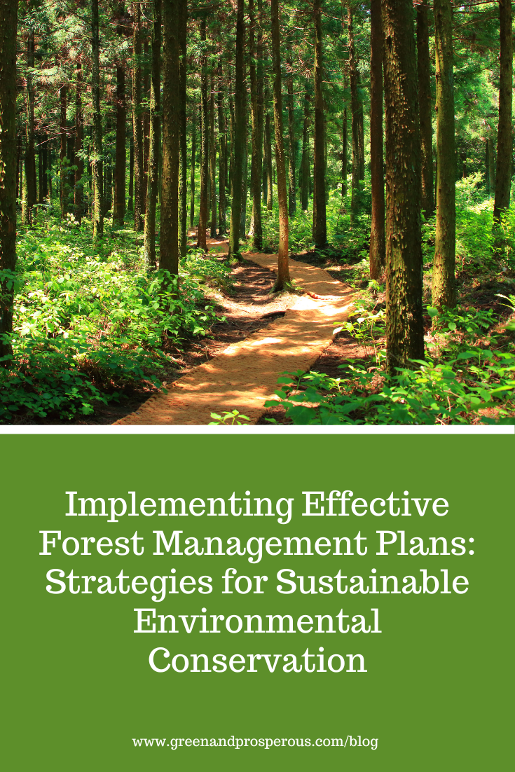 Sustainable Forest Management Plan – REMOEQ