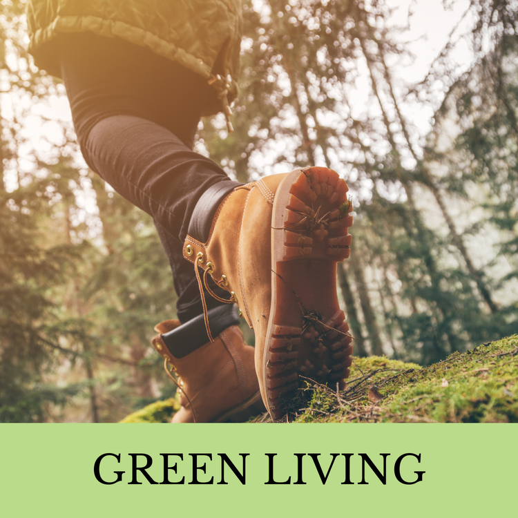 Healthy Living, Gardening and Sustainable Business Practices