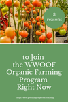 3 Reasons to Join the WWOOF Organic Farming Program Right Now