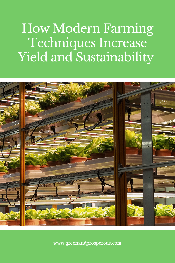 How Modern Farming Techniques Increase Yield & Sustainability