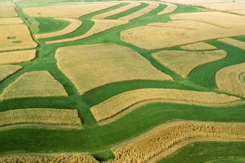 7 Effective Erosion Control Techniques for Sustainable Farming