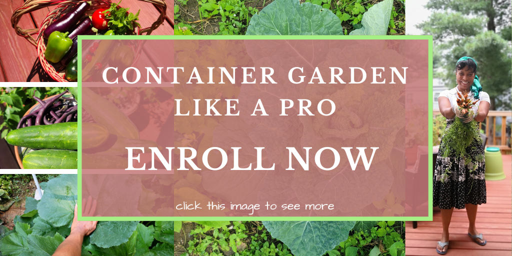 Spring into Gardening: Tips for Preparing Your Garden for the Season