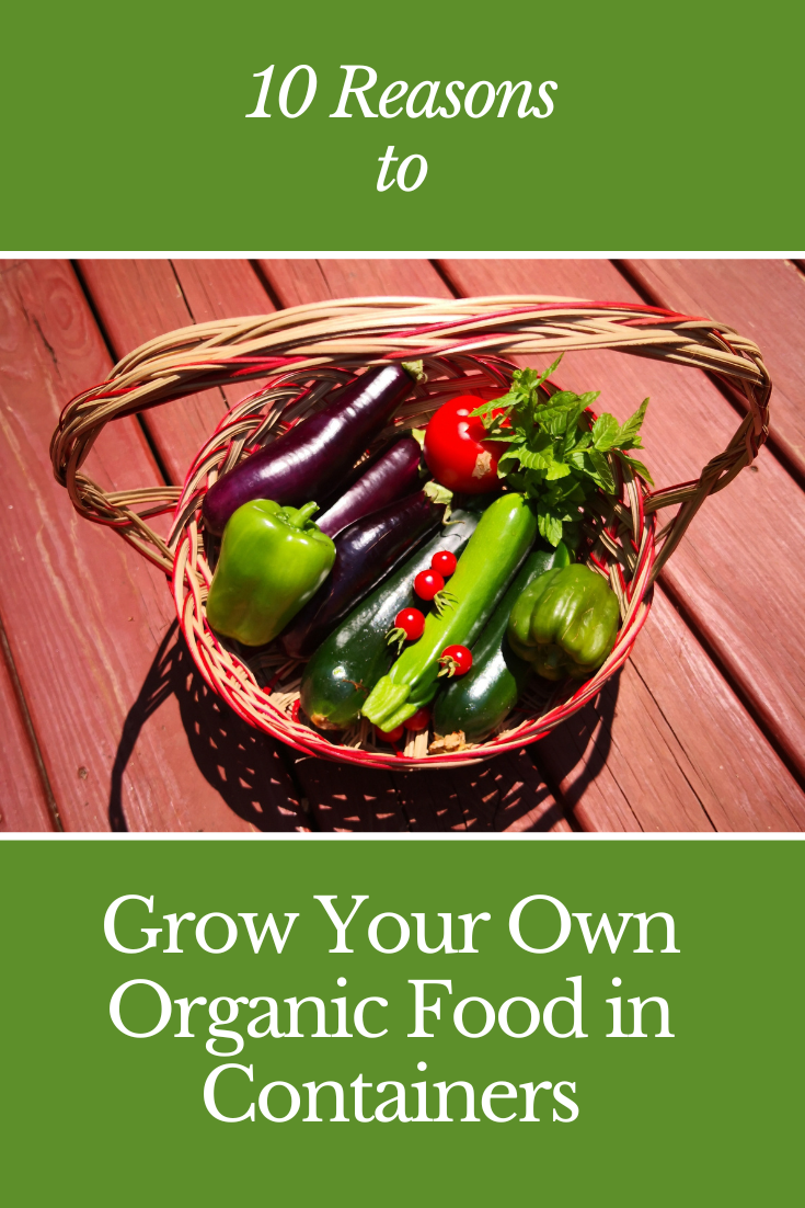 10 Reasons to Grow Your Own Organic Food in Containers