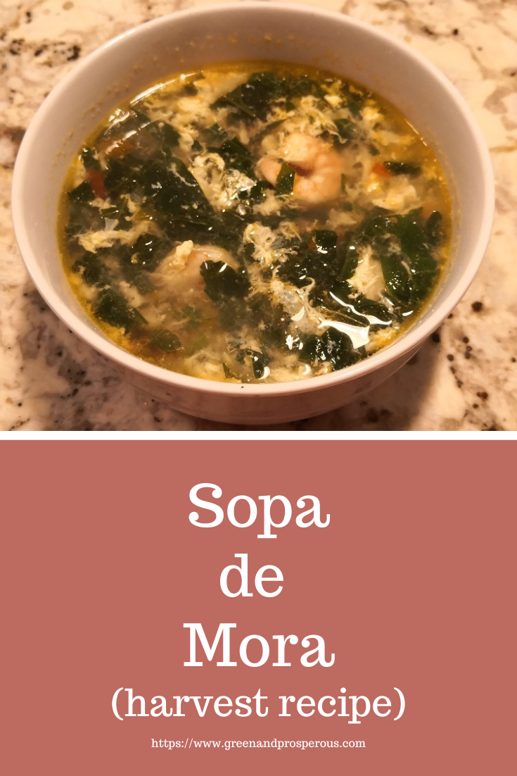 Sopa de Mora: A Simple, Flavorful Harvest Soup Recipe
