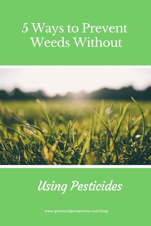 5 Ways to Prevent Weeds Without Using Pesticides