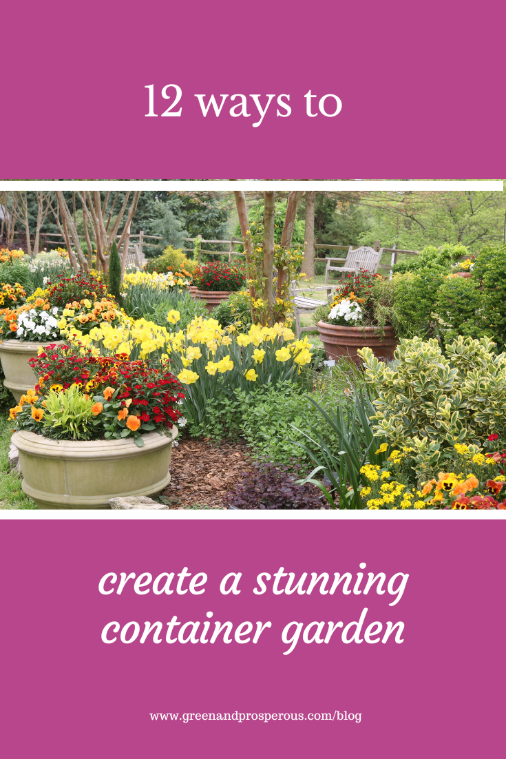 12 ways to create a stunning container garden