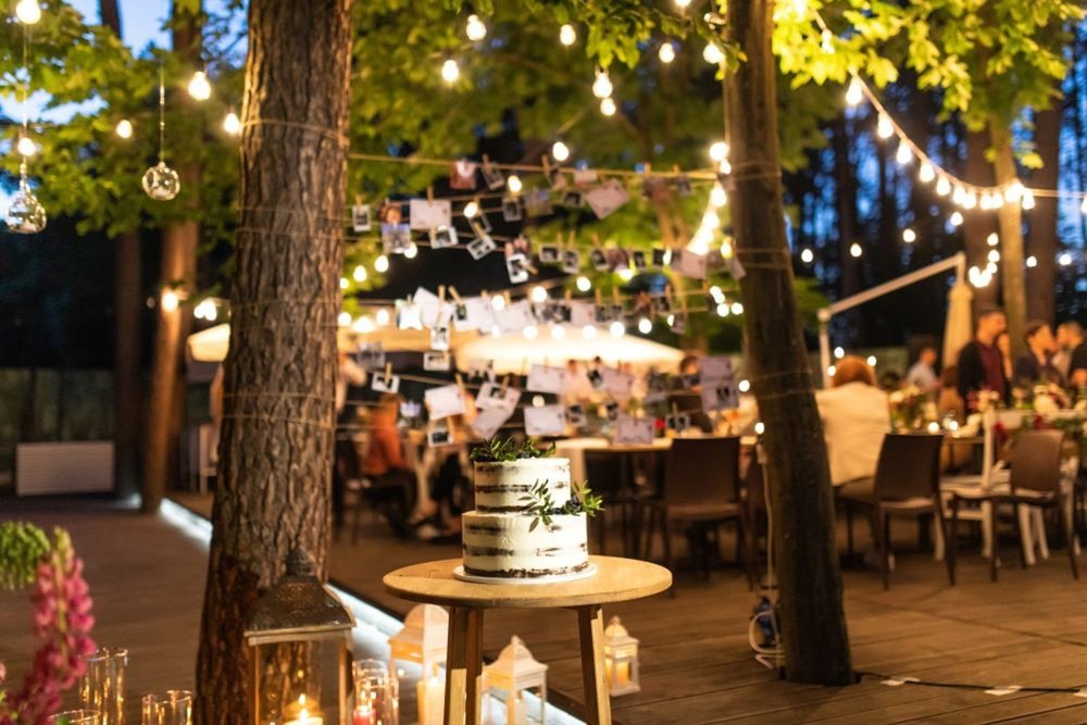 Eco-Friendly Event Planning: Hiring Plants for Sustainable Décor