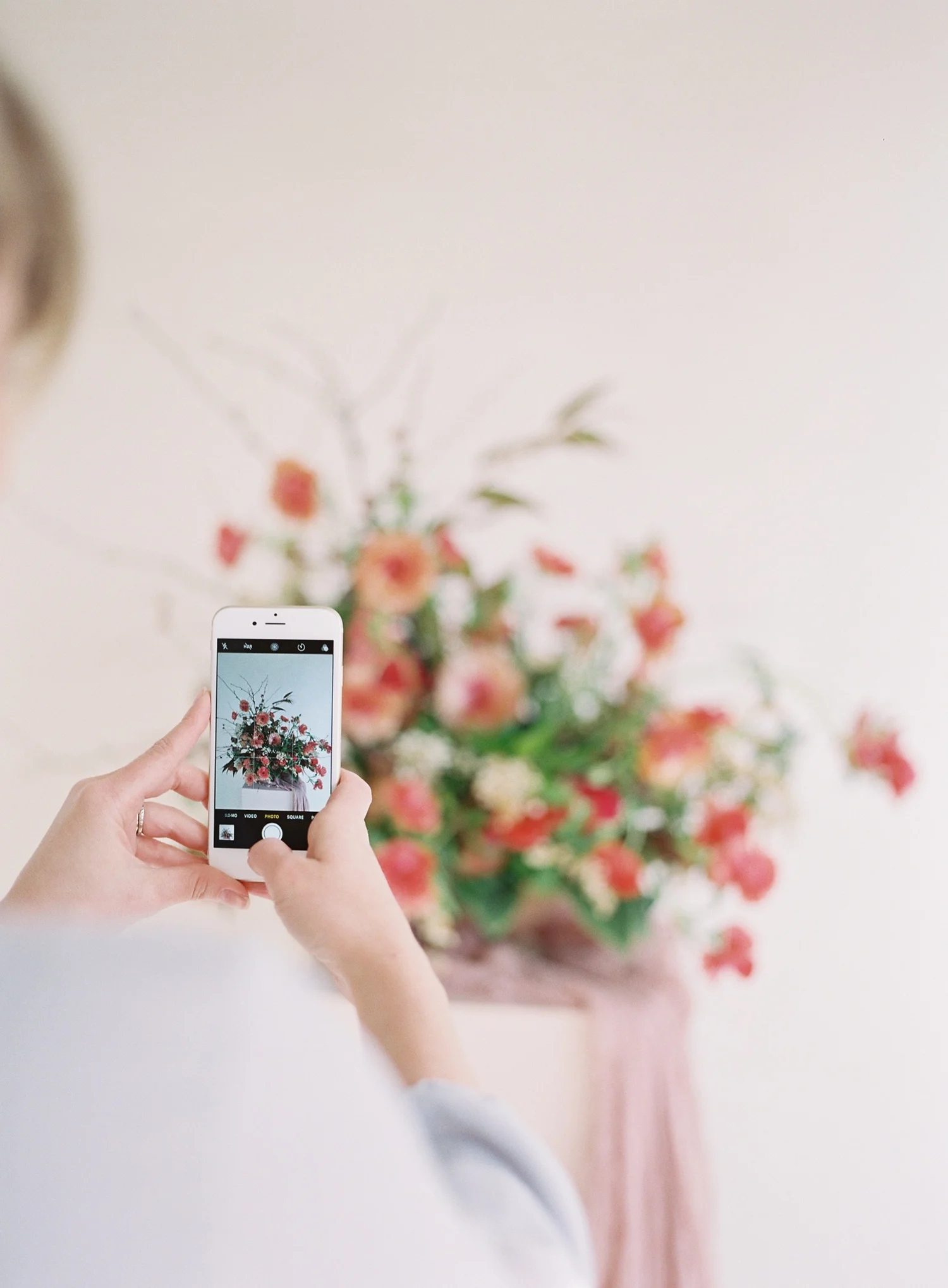 How to Photograph Flowers — Team Flower