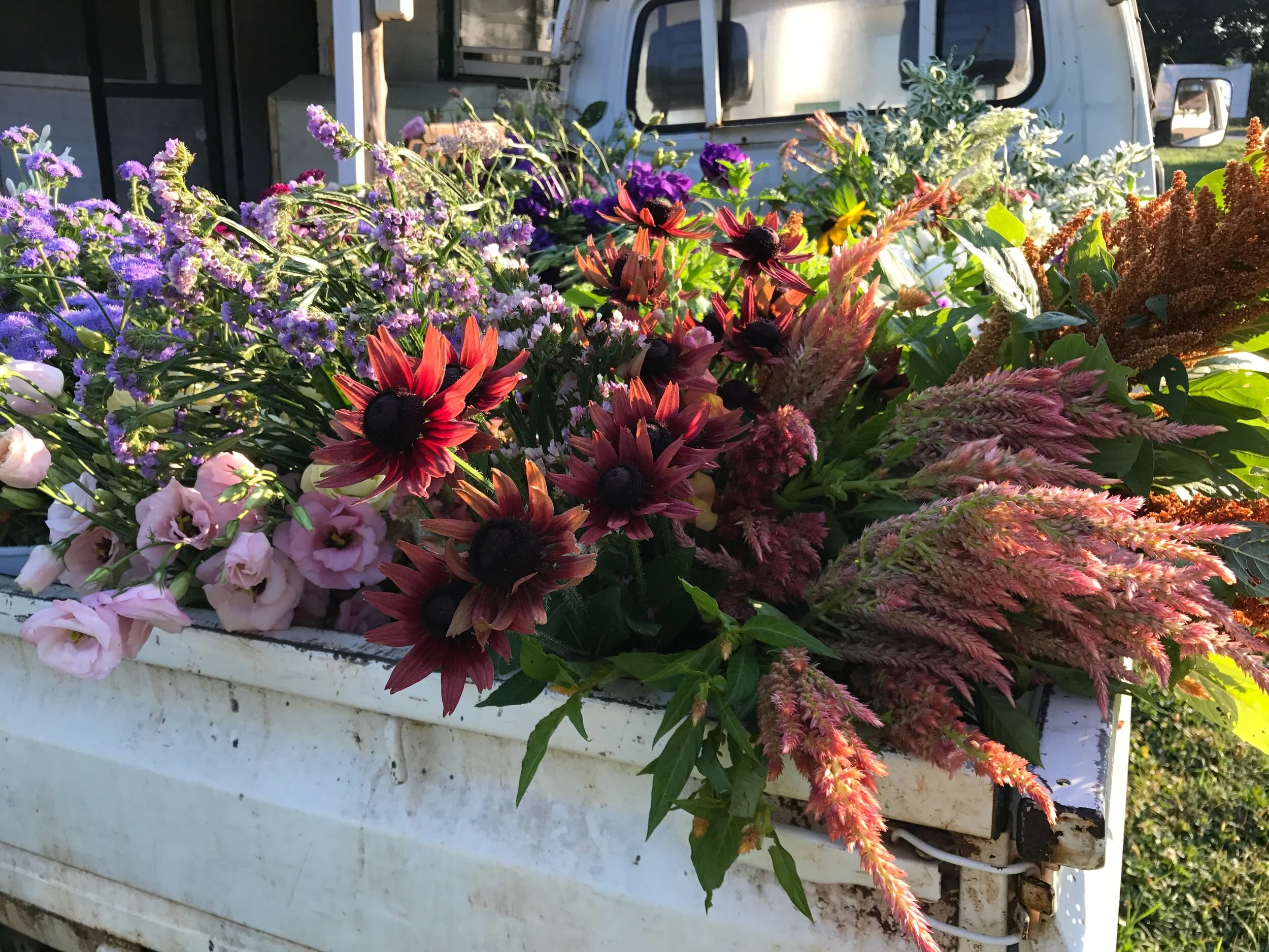 Growing and Selling for Market — Team Flower