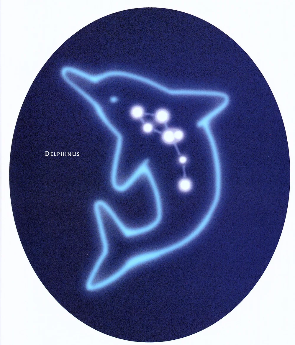 A Conversation With the Constellation Delphinus, the Dolphin — Crazy ...