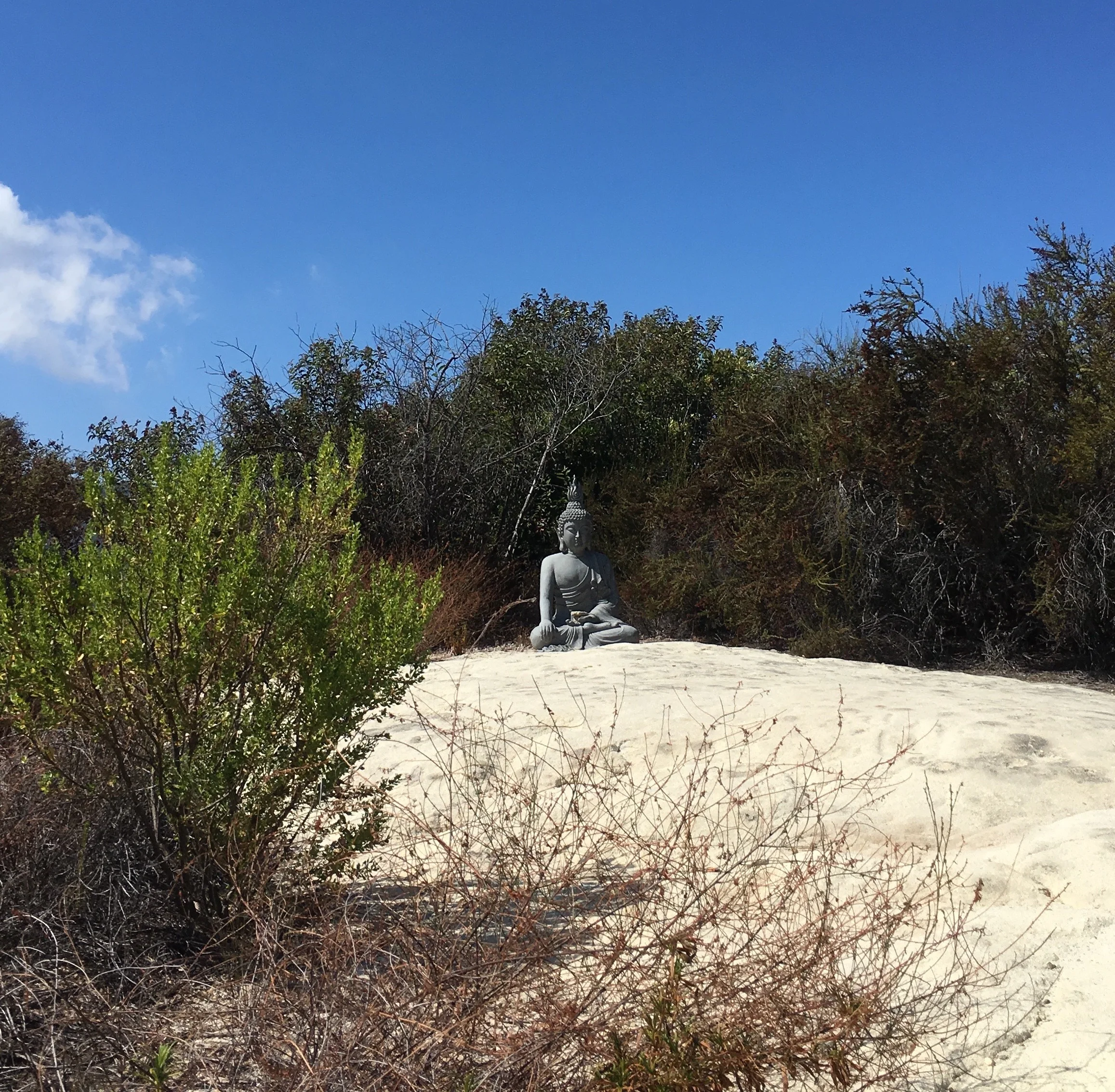 Mountain Mail — Topanga Mountain School